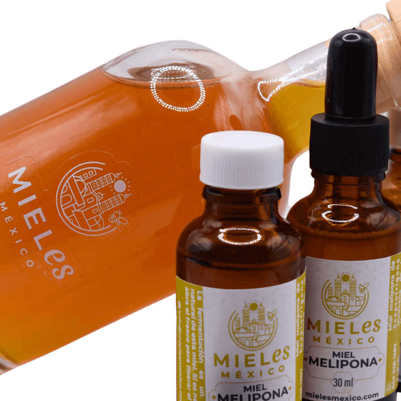 Miel de abeja en panal: beneficios y sabor | MIELes México